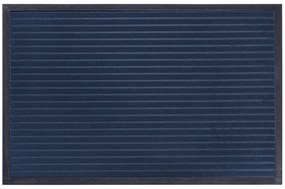 Hanse Home Collection koberce Rohožka Mix Mats Striped 105653 Blue Rozměry koberců: 80x120