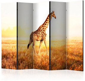 Paraván - giraffe - walk [Room Dividers]