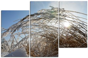 Obraz na plátně - Zimní ráno 145C (120x80 cm)