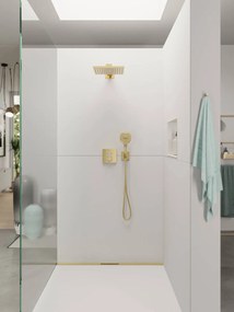 Hansgrohe Raindance Select E, ruční sprcha 120 3jet, leštěný vzhled zlata, HAN-26520990
