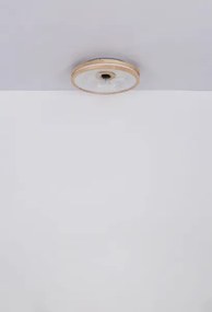 Globo 03650 - LED Stropní svítidlo s ventilátorem GATIAN LED/30W/230V hnědá + DO
