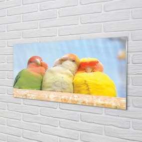 akrylový obraz barevný papoušek 125x50 cm