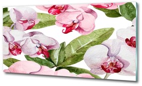 Wallmuralia Fotoobraz na skle Růžové orchideje 100x50