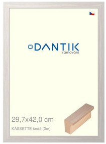 DANTIK rámeček 29,7x42 | KASSETTE šedá (Plexi Čiré)