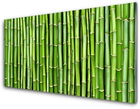 Obraz na skle Bambus Květ Rostlina 140x70 cm