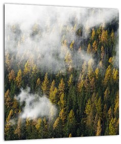 Obraz lesa v mracích (30x30 cm)