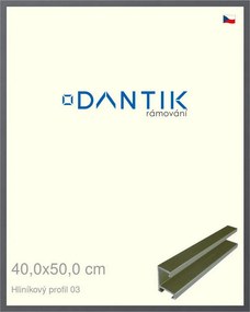 DANTIK rámeček 40x50 | ALU profil 7003 Platina matná (Plexi Čiré)
