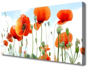 Obraz na plátně Květiny Máky Louka Pole Příroda 125x50 cm