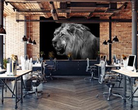 Malvis Tapeta Černobílý lev Vel. (šířka x výška): 432 x 290 cm