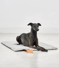 MiaCara Cestovní deka pro psy Cosmo Senso pebble (MiaCara Cestovní deka pro psy Cosmo Senso pebble)