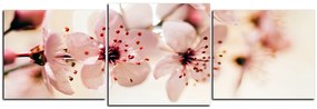 Obraz na plátně - Malé květy na větvi - panoráma 5173D (90x30 cm)