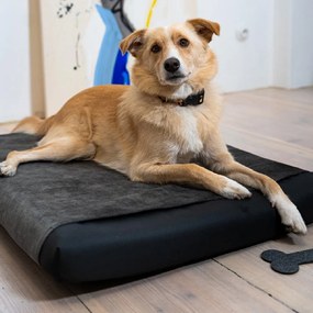 Černá ortopedická matrace pro psa 90x70 cm Ori XL – Rexproduct