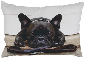 Plátěný polštář s buldočkem French Bulldog - 35*50*10cm