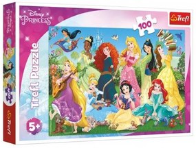 Puzzle Půvabné princezny/Disney 100 dílků 41x27,5cm v krabici 29x19x4cm