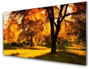 akrylový obraz Stromy Podzim Příroda 125x50 cm