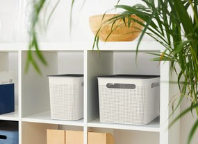 Rotho Úložný box s víkem a s madly BRISEN 7l, 26x18x21cm, bílý