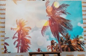 Obraz paprsky slunce mezi palmami - 90x60 cm