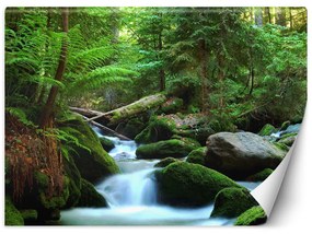 Gario Fototapeta Zelený les Materiál: Vliesová, Rozměry: 200 x 140 cm