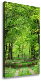 Wallmuralia Vertikální Vertikální Foto obraz na plátně do obýváku Zelený les 50x100