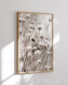 Oboustranný plakát Plážové Pampasy / Suché Květiny | 30 x 42 cm | DP351331