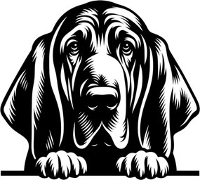 Samolepka pes Bloodhound