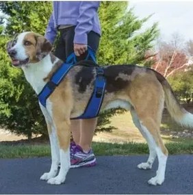 Petsafe EasySport postroj červená - velikost L