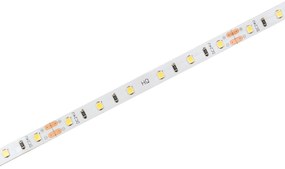 T-LED 079400 LED pásek 50M24HQ6048 50m vnitřní záruka 3 roky Teplá bílá