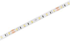 T-LED LED pásek 50M24HQ6048 50m vnitřní záruka 3 roky Varianta: Denní bílá
