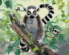 zuty malování podle čísel - lemur a motýli (howard robinson), 40x50 cm, vypnuté plátno na rám