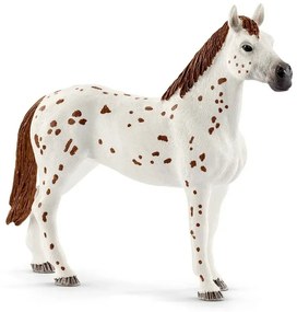 Schleich 42433 Appalosští koně a tréninkové příslušenství, 7 ks