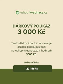 Dárkový poukaz - 3000 Kč