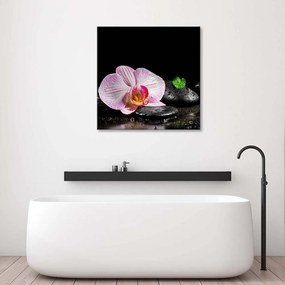 Gario Obraz na plátně Kvetoucí orchidej zen Rozměry: 30 x 30 cm