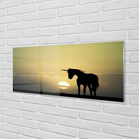 akrylový obraz Pole sunset jednorožec 120x60 cm