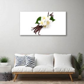 Obraz na plátně Vanilková Tyčinka do Kuchyně 100x50 cm