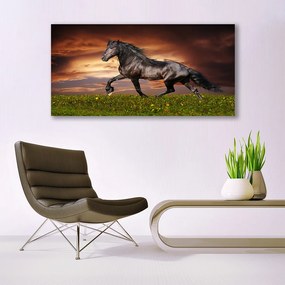 akrylový obraz Černý Kůň Louka Zvířata 120x60 cm