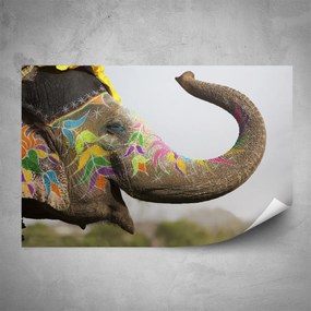Plakát - Pomalovaný slon (60x40 cm) - PopyDesign