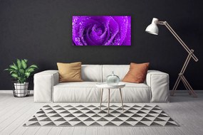 Obraz na plátně Růže Květ 140x70 cm