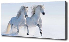 Wallmuralia Foto obraz na plátně do obýváku Dva koně ve sněhu 100x50
