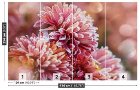 Fototapeta Aster ice Pink 104x70