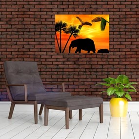 Skleněný obraz - papoušci a sloni (70x50 cm)