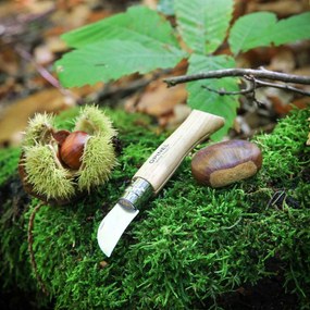 Opinel Nomad N°07 nůž na kaštany a česnek 4 cm, 002360