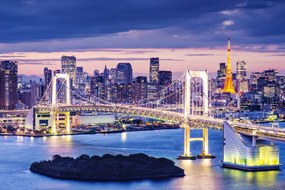 Obraz Duhový Most V Tokiu Nedostatek Nedostatek Plátno Canvas 120x80