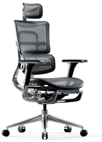 Ergonomická židle DIABLO V-MASTER: černo-šedá Diablochairs