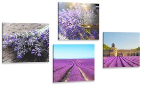 Set obrazů krásná levandule Varianta: 4x 60x60