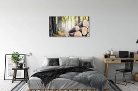 Obrazy na plátně Dříví prales přírodě 125x50 cm
