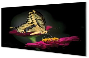 akrylový obraz Motýl na květině 140x70 cm