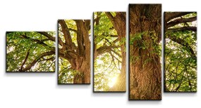 Sablio Obraz - 5-dílný Stromy - 100x60 cm