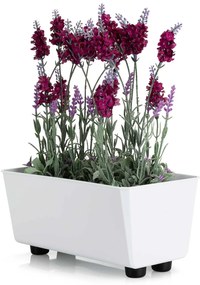 PLASTOVÝ KVĚTINÁČ SALVIA 28,5X17 CM BÍLÁ