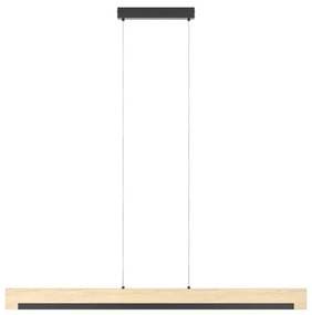 Eglo 99293 - LED Stmívatelný lustr na lanku CAMACHO LED/25,5W/230V