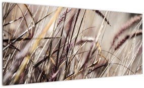 Obraz pšenice (100x40cm)